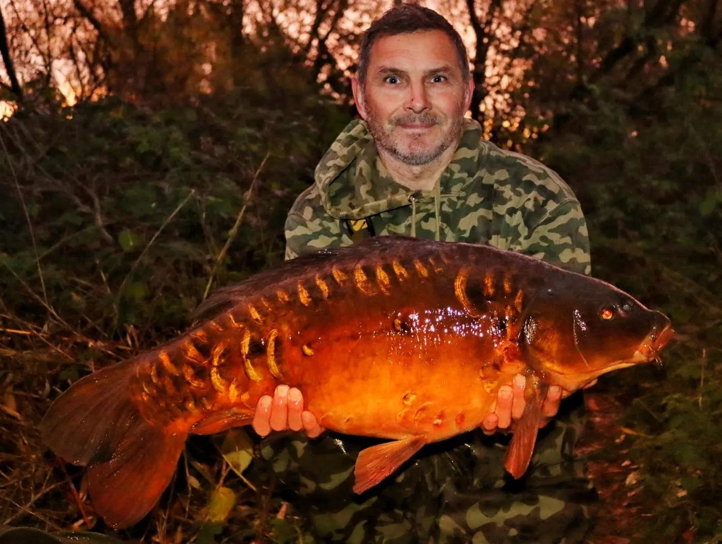 Sandmartin | Total Carp